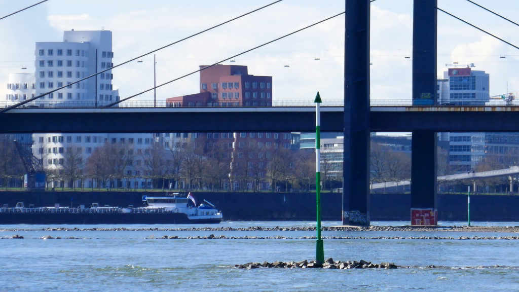 005-kribben-bei-der-rheinknie-brücke - Rhein Trainer